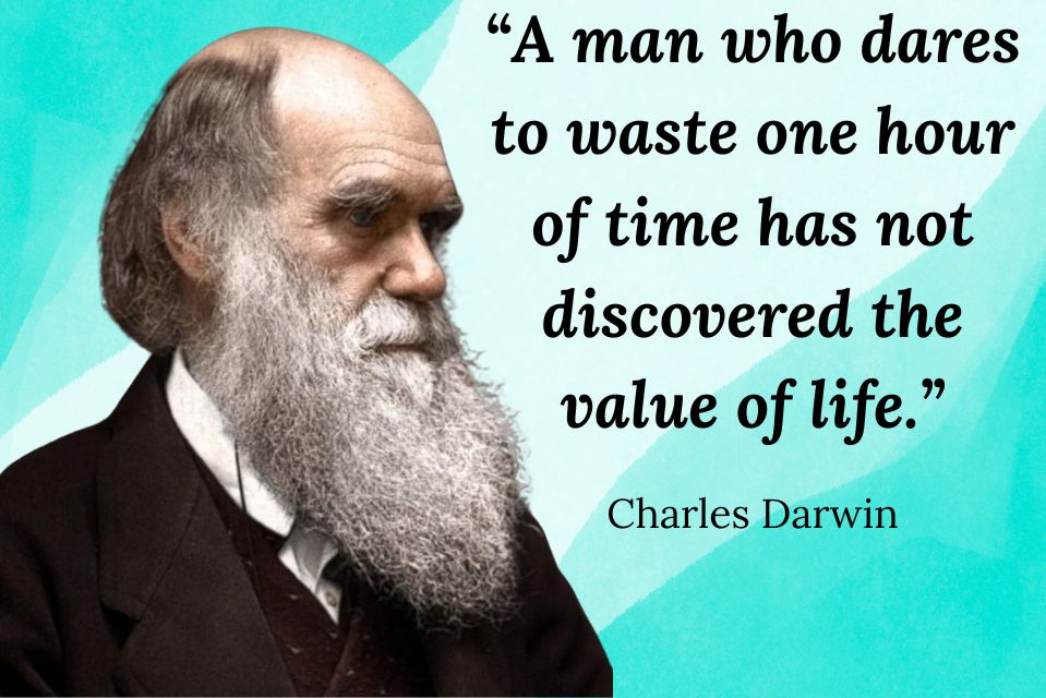 The Clock Is Ticking: Discovering the True Value of Life Through Time ...