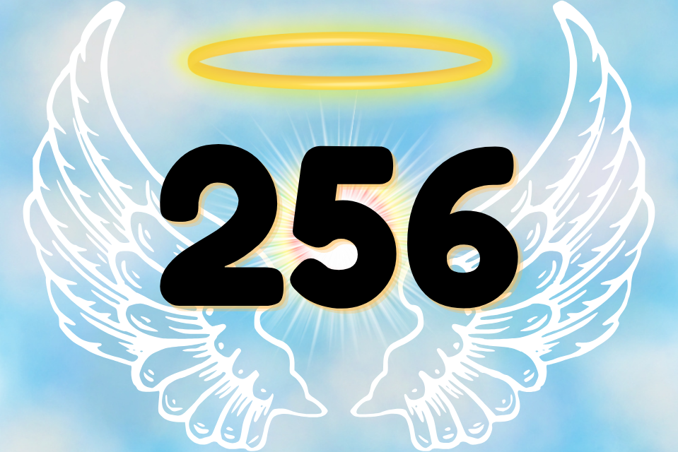 Angel Number 256 - Angel Grace Blessing